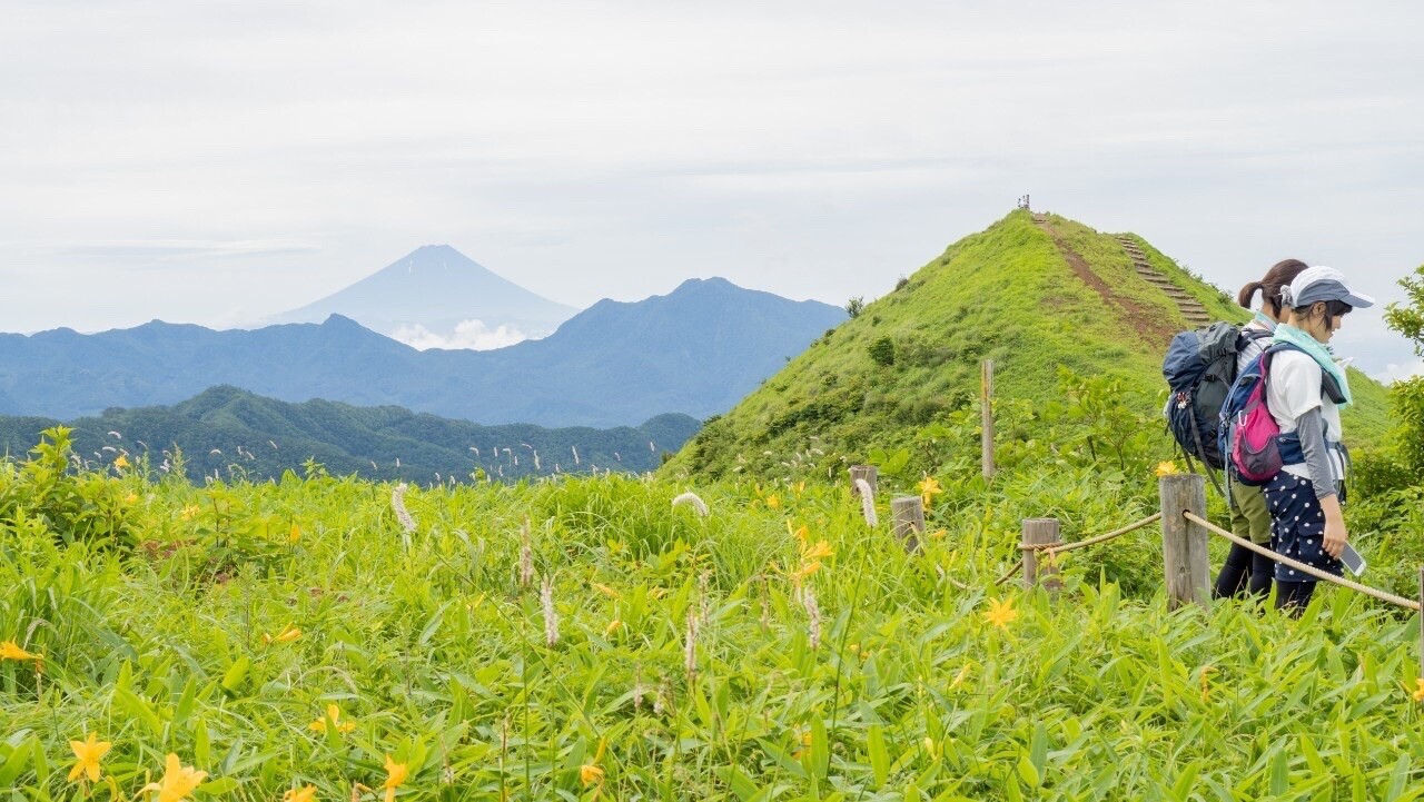 花の平沢山・飯盛山ハイキング / asimkさんの飯盛山の活動データ | YAMAP / ヤマップ