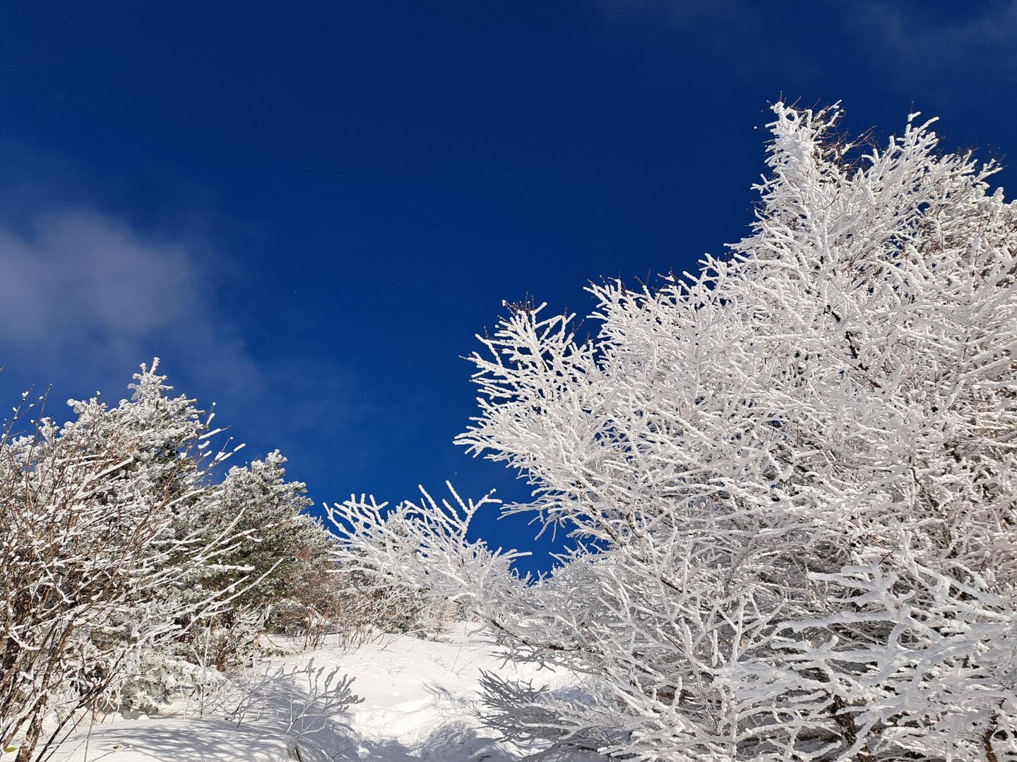 小烏帽子岳・烏帽子岳・湯ノ丸山 / rie.yさんの湯ノ丸山・角間山・鍋蓋山の活動データ | YAMAP / ヤマップ