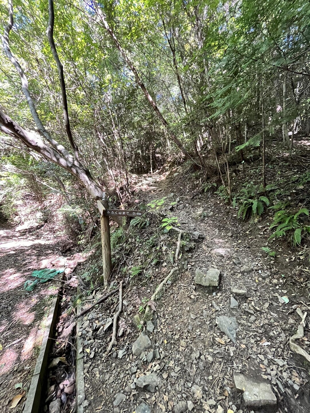 takayamaさんの投稿したフィールドメモ | YAMAP / ヤマップ