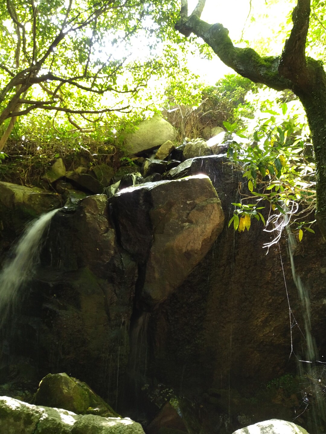 ichiさんの投稿したフィールドメモ | YAMAP / ヤマップ