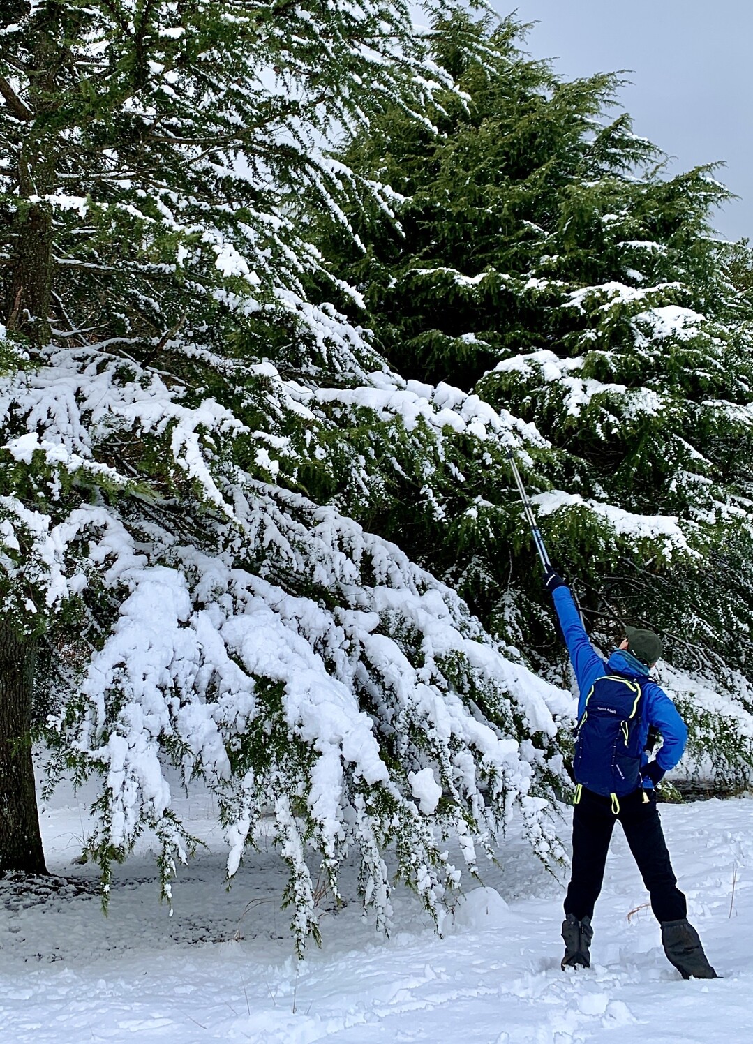 ️多度山🏔☃️景色満喫 ️♬〜 w/スイカ🍉おじさん🎂🎉 / j-montさんの多度山・美濃松山・石津御嶽の活動日記 | YAMAP / ヤマップ