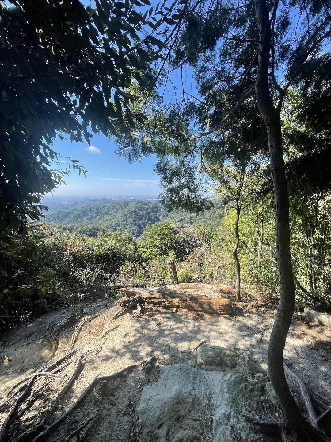 moon®︎さんの投稿したフィールドメモ | YAMAP / ヤマップ