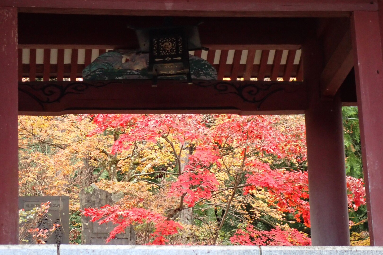 地蔵山・ためぐそ山・深沢山・深沢山北峯・真藤ノ峰・梵天山・白岩山・タルクボ峰・日の出山・御岳山 / rioさんの大岳山・御岳山・御前山の活動データ | YAMAP / ヤマップ