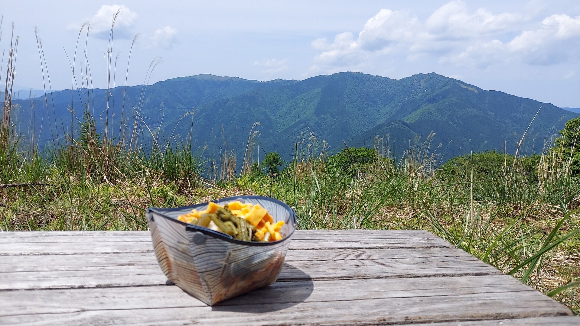 日名倉山へ静かな散歩 / もちっ子あつこさんの日名倉山・船越山の活動データ | YAMAP / ヤマップ