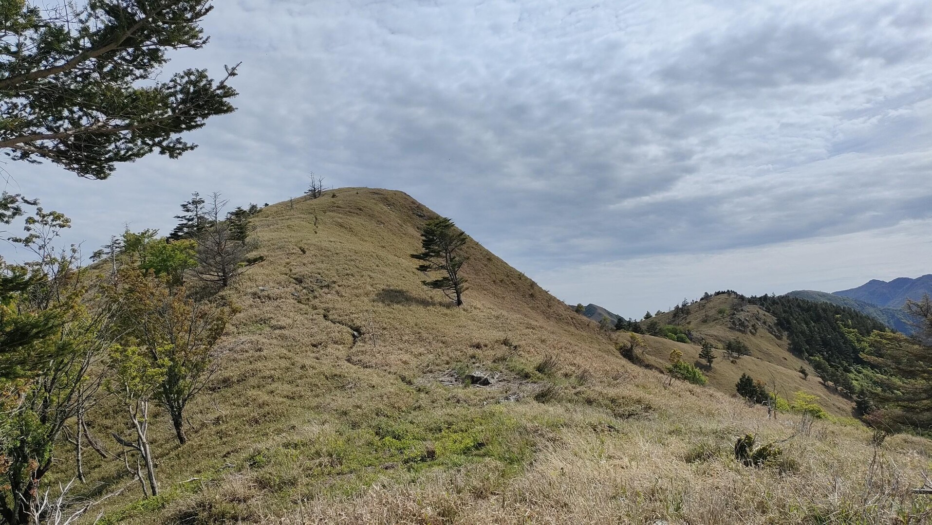 山頂だけ笹原の寒峰 / YK1989さんの寒峰の活動データ | YAMAP / ヤマップ