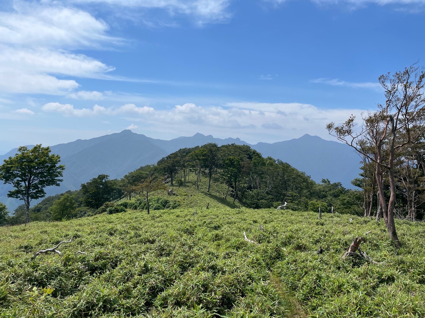 【最高過ぎた稜線】尾平越⇔九折越 / Nockyさんの祖母山の活動データ | YAMAP / ヤマップ