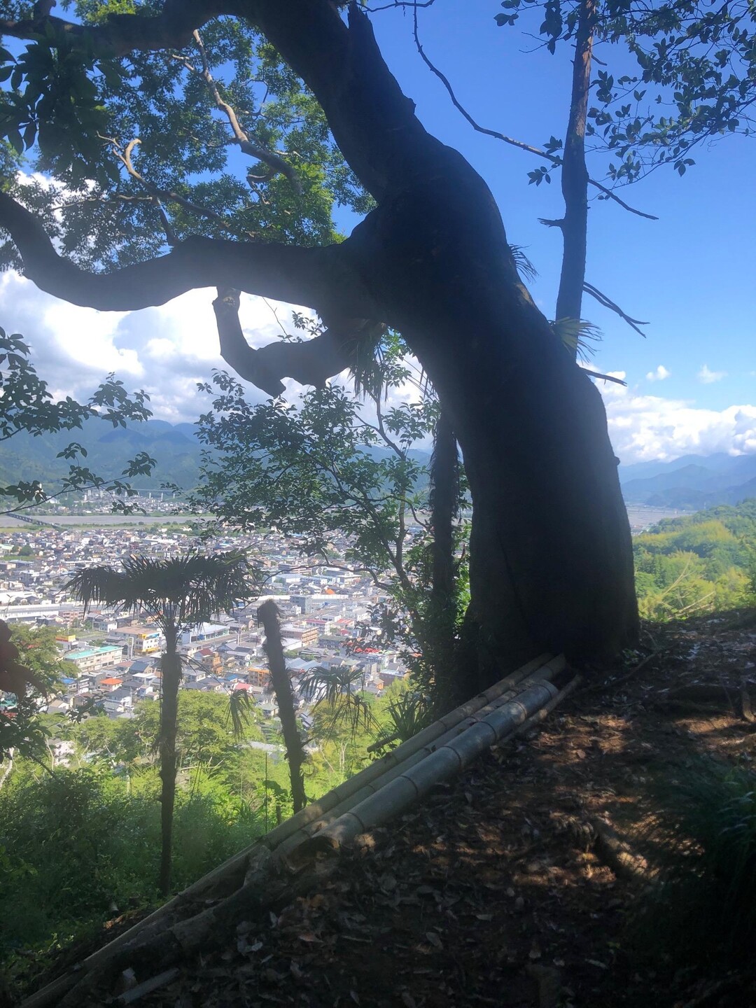 浅間山・賤機山・茶臼山・福成山 / テル 山本さんの焼津アルプス（高草山・満観峰・花沢山）・徳願寺山の活動データ | YAMAP / ヤマップ