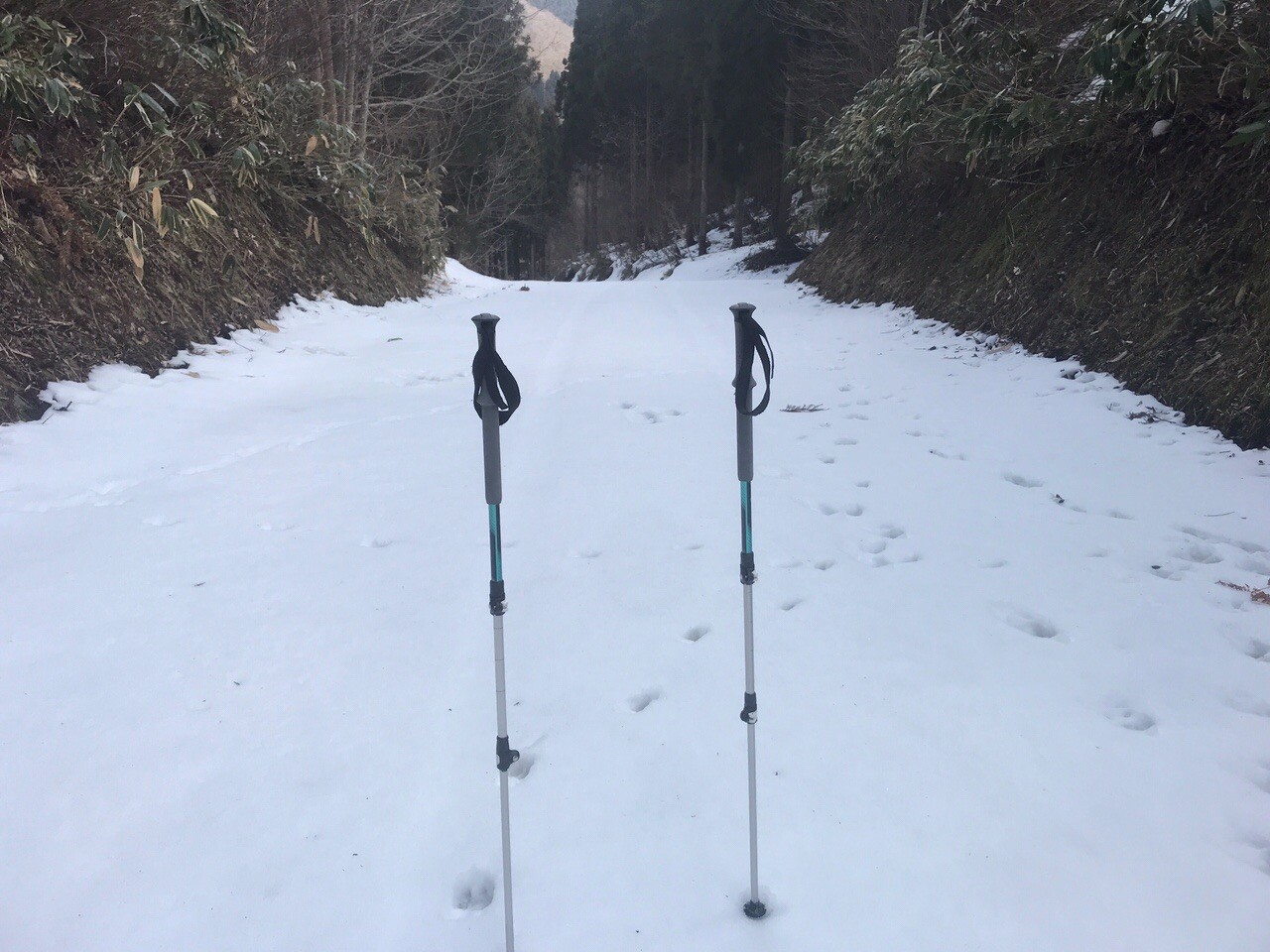 黒岩高原遊歩道 / Shi Roさんの那岐山・滝山・広戸仙の活動データ | YAMAP / ヤマップ