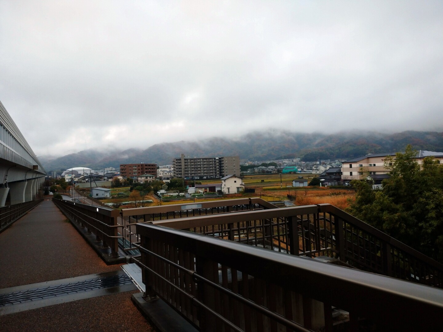 買い物-2021-12-07 / chonpsさんの交野山・国見山の活動データ | YAMAP / ヤマップ