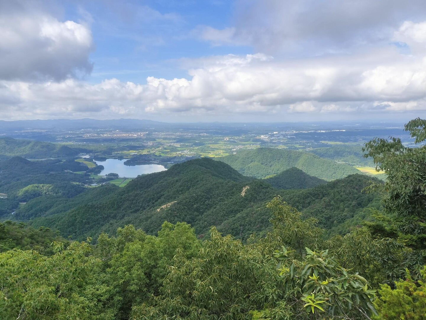 ソロ191 千丈寺山・北千丈寺山 / J.BOYさんの千丈寺山・てんぐの森の活動データ | YAMAP / ヤマップ
