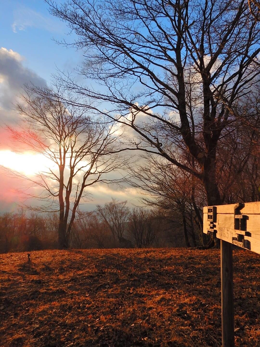 黒岳・越前岳・呼子岳・前岳・位牌岳・袴腰岳・愛鷹山 / dai-modeさんの愛鷹山・大岳・黒岳の活動データ | YAMAP / ヤマップ