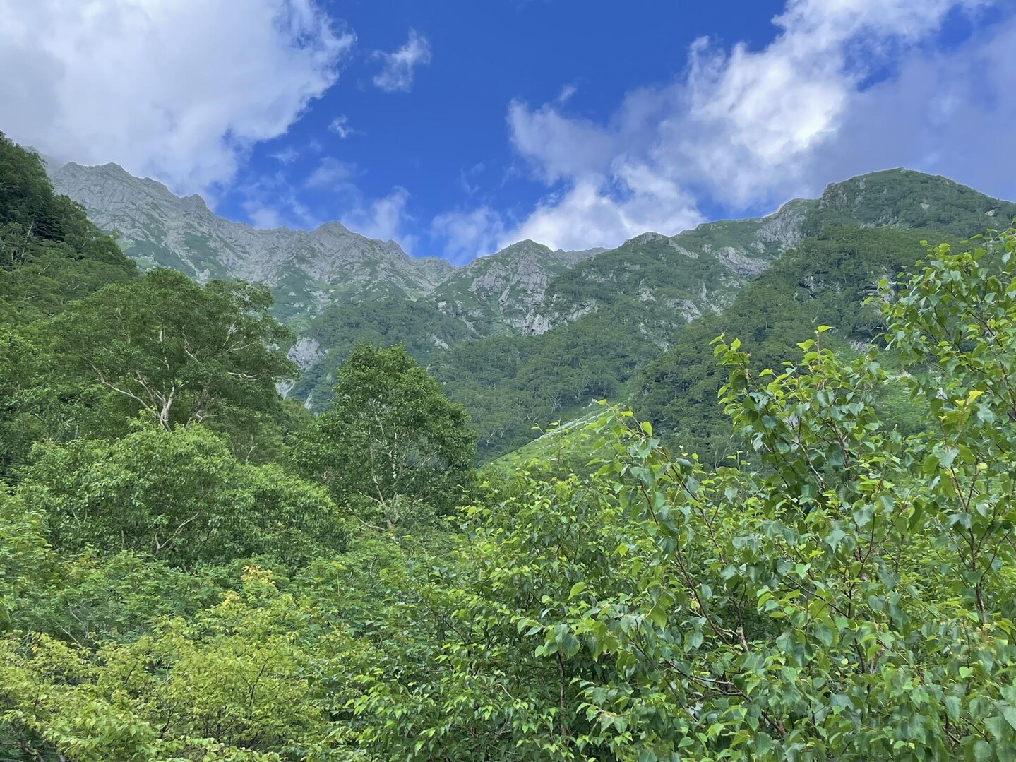 前穂高岳 / konさんの槍ヶ岳・穂高岳・上高地の活動データ | YAMAP / ヤマップ