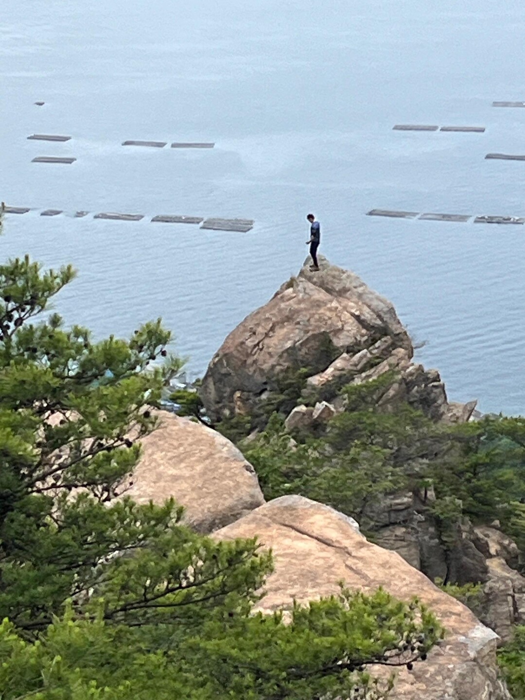中山・上山・烏帽子岩山・佐伯権現山・山の神山 / mirereさんの鉢巻山・烏帽子岩山・灰ヶ峰の活動データ | YAMAP / ヤマップ