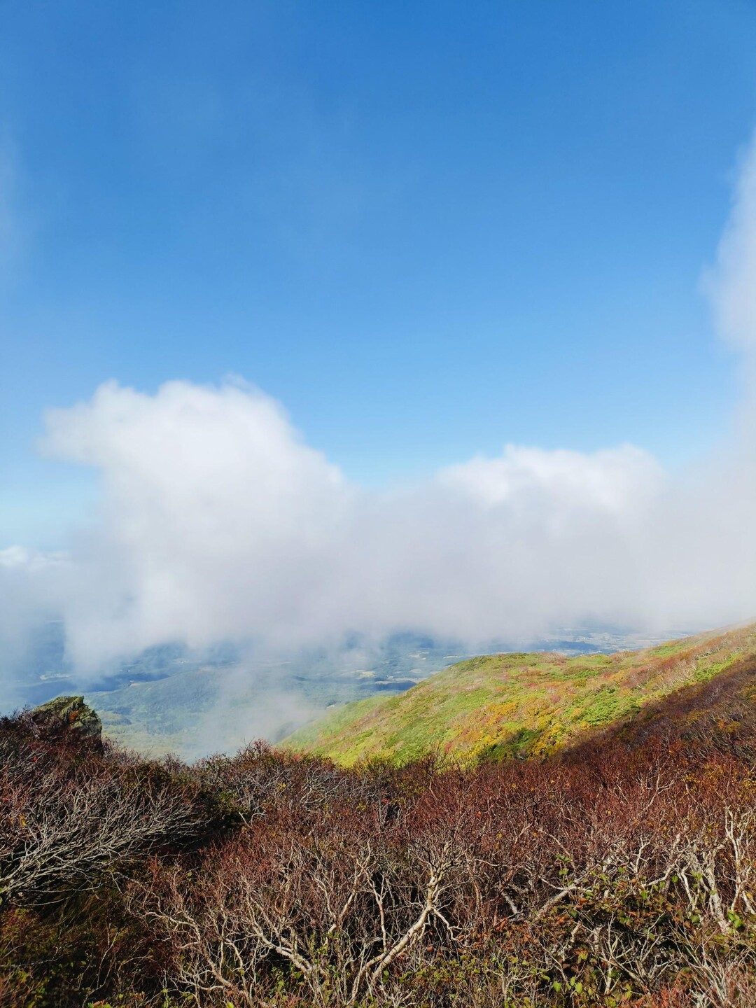 鳥海山・岩木山 / ukeyさんの岩木山（岩鬼山）・鳥海山・鍋森山の活動データ | YAMAP / ヤマップ