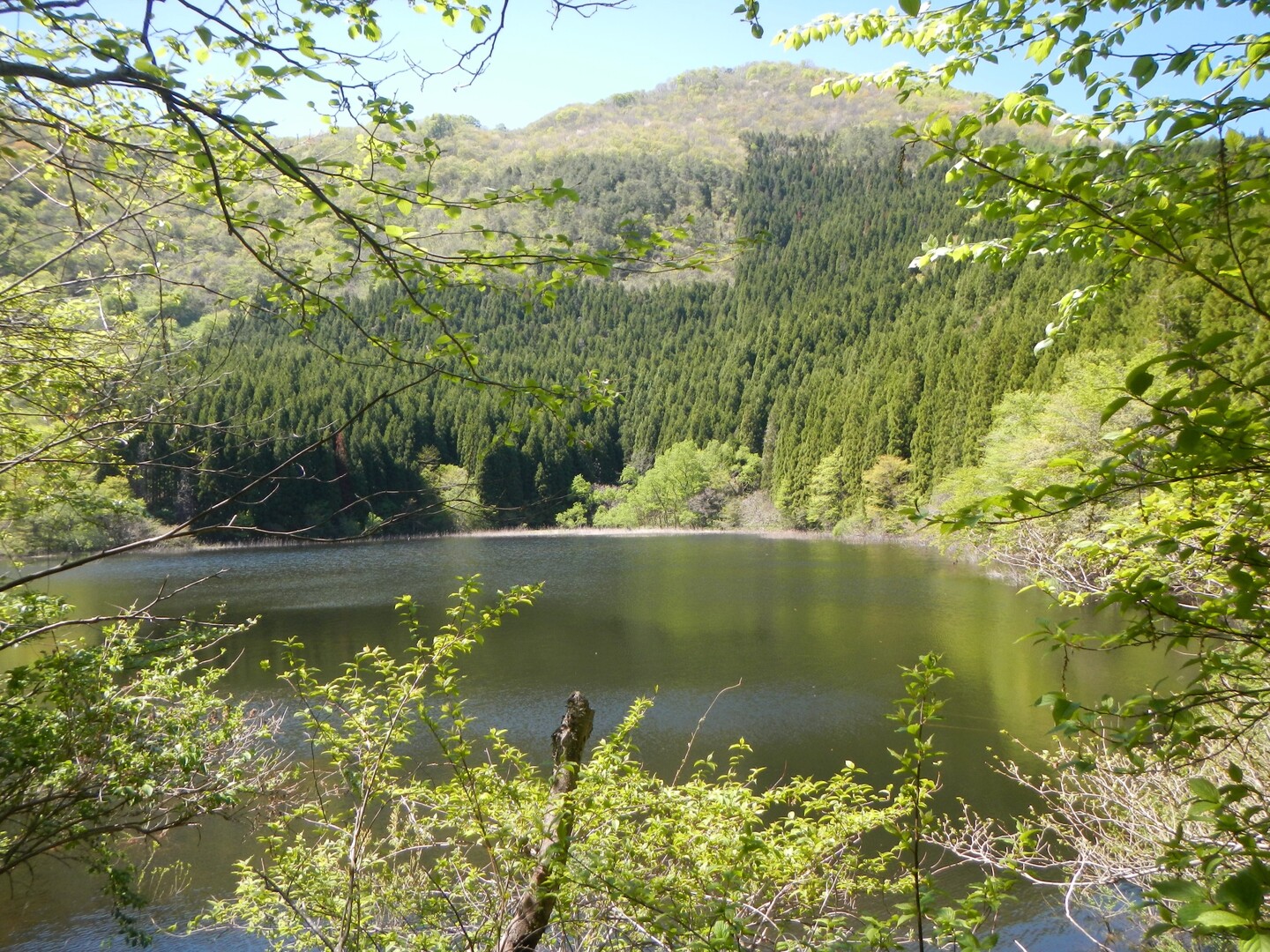 鎌倉山の奥地・大沼-2021-05-06 / @yoshiki🤗さんの鎌倉山の活動データ | YAMAP / ヤマップ