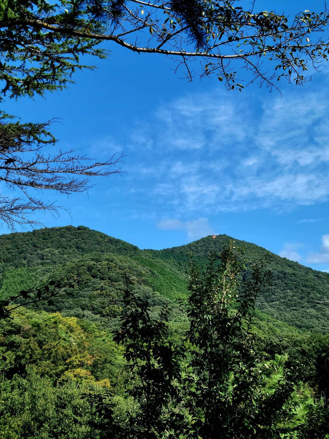 久しぶりの吾妻山 里山ハイク / BOSSの山登りさんの鳴神山・吾妻山の活動データ | YAMAP / ヤマップ