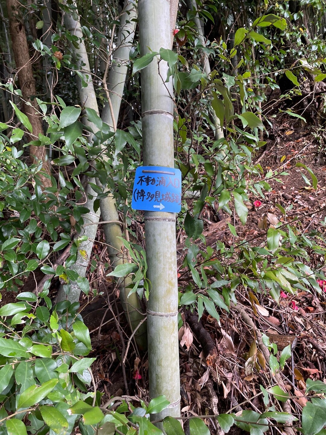 130Kさんの投稿したフィールドメモ | YAMAP / ヤマップ