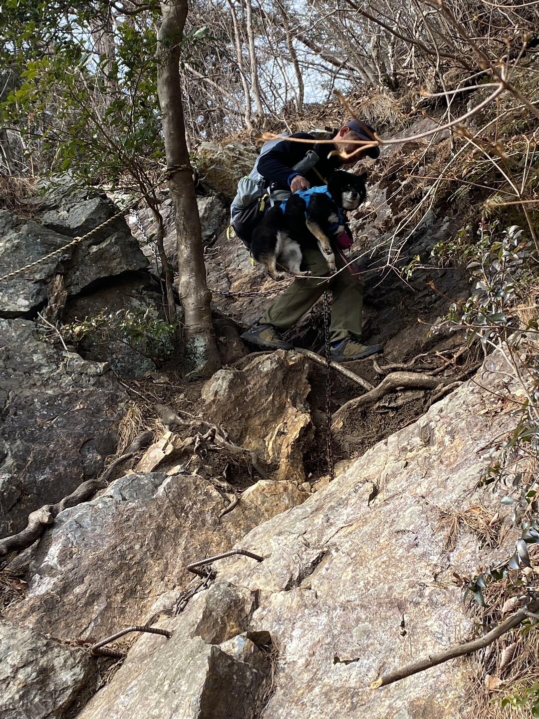 長倉山・鞍掛山・シゲト山・540P・斑根石山・古賀志山・坊主山 / ちこママさんの古賀志山・赤岩山・鞍掛山・男抱山・半蔵山の活動データ | YAMAP / ヤマップ