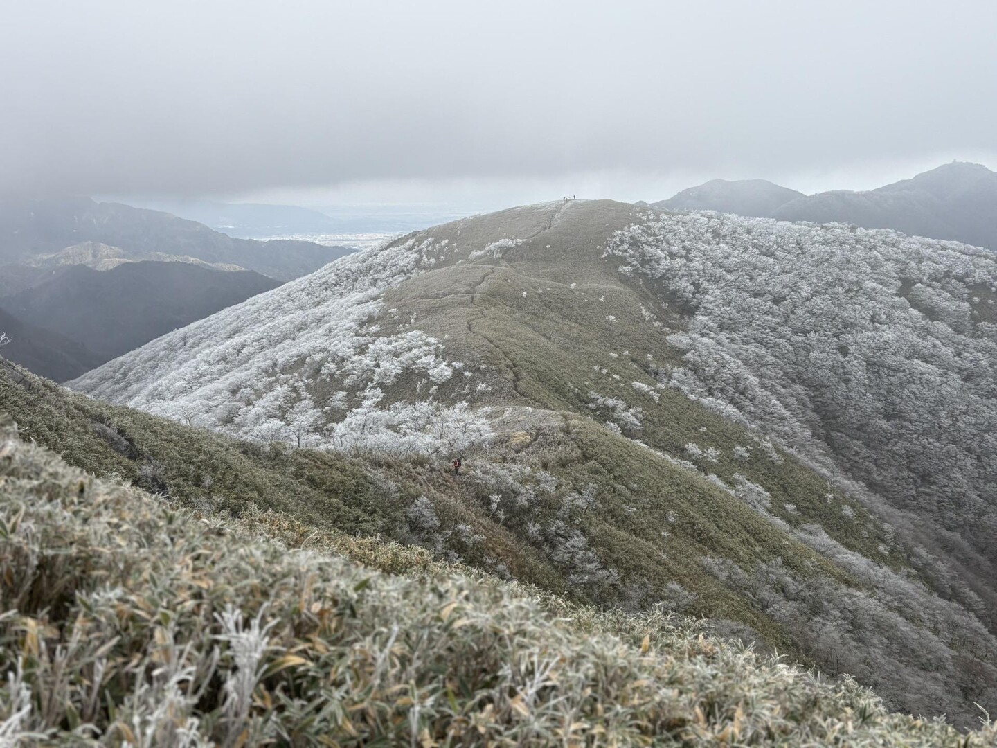 御在所岳・七人山・東雨乞岳・雨乞岳・三人山・沢谷ノ頭 / MUR-SRさんの御在所岳（御在所山）・雨乞岳の活動データ | YAMAP / ヤマップ
