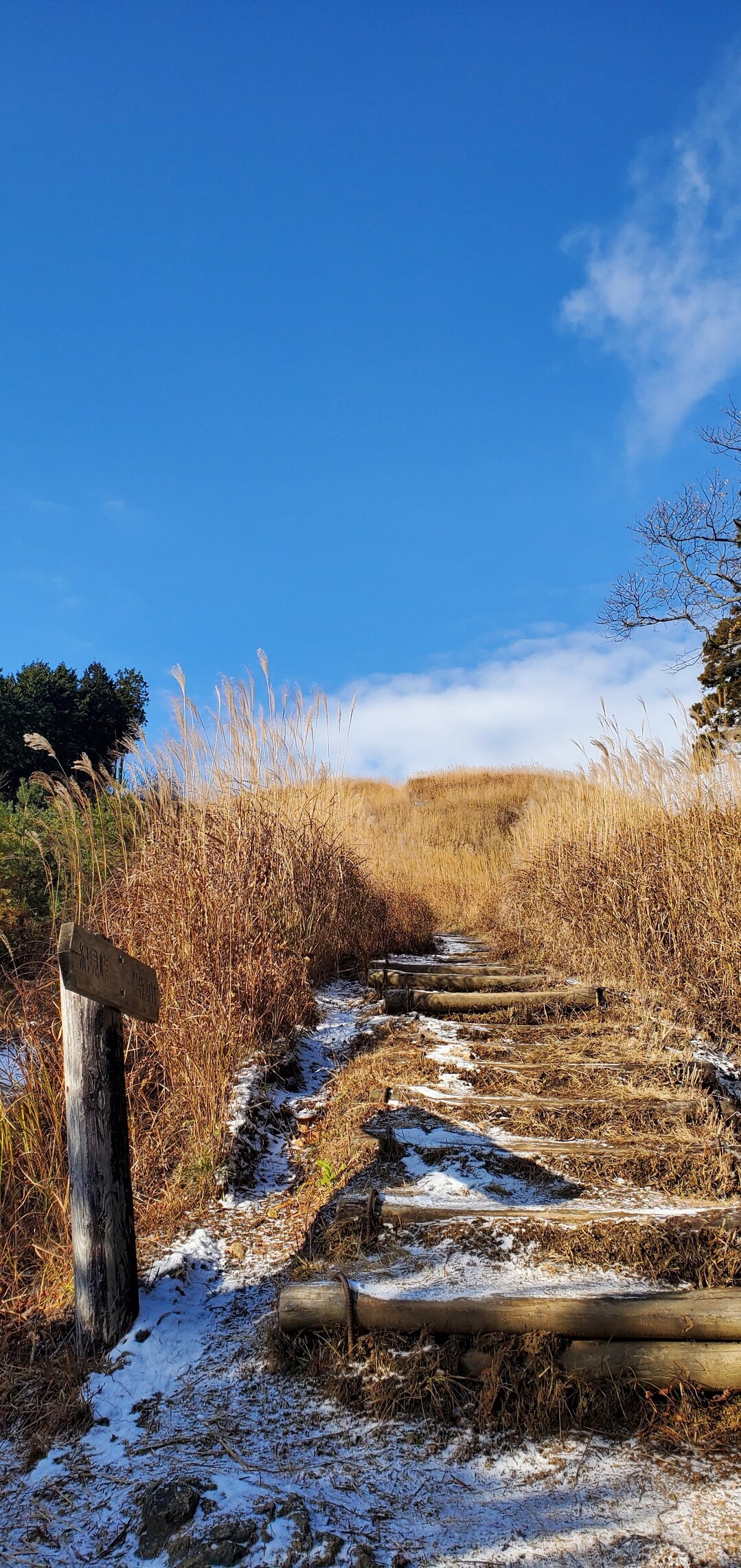 東峰・岩湧山・経塚山 / こいちゃんまんさんの葛城修験エリアマップ（金剛山周辺）の活動日記 | YAMAP / ヤマップ