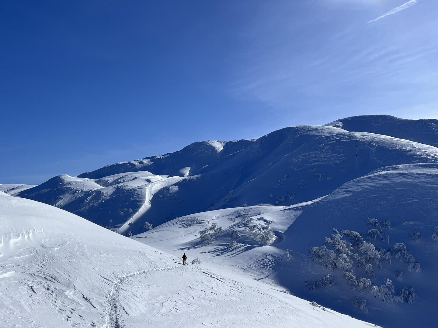 二王子岳、下山は中尾根で / ヨッシーさんの二王子岳の活動日記 | YAMAP / ヤマップ