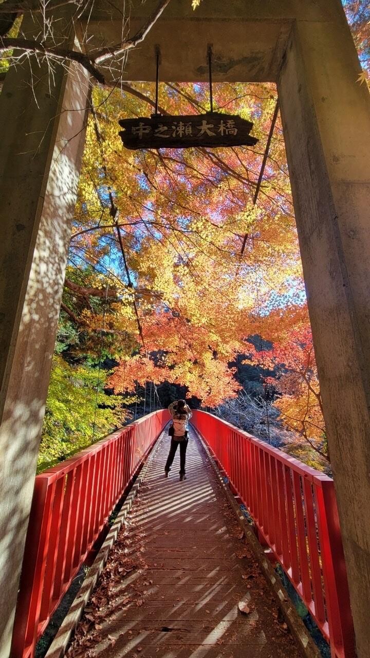 天下峰 de 満腹山飯パーティー R5 #28 / 🐑るんな꒰ᵕ⑅̆ᵕ꒱さんの六所山・炮烙山の活動データ | YAMAP / ヤマップ