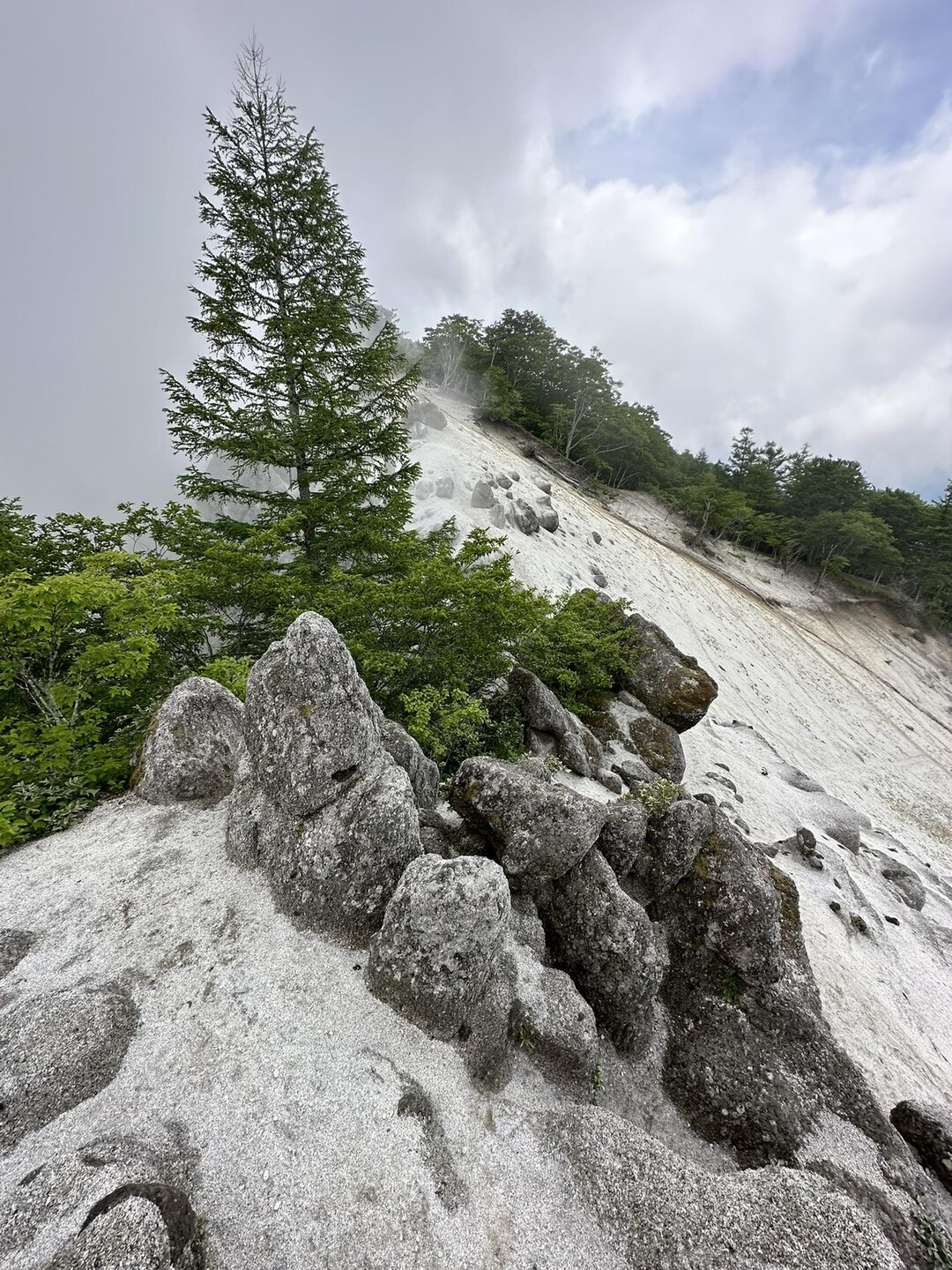 日向山 / kaomi-ruさんの雨乞岳の活動データ | YAMAP / ヤマップ