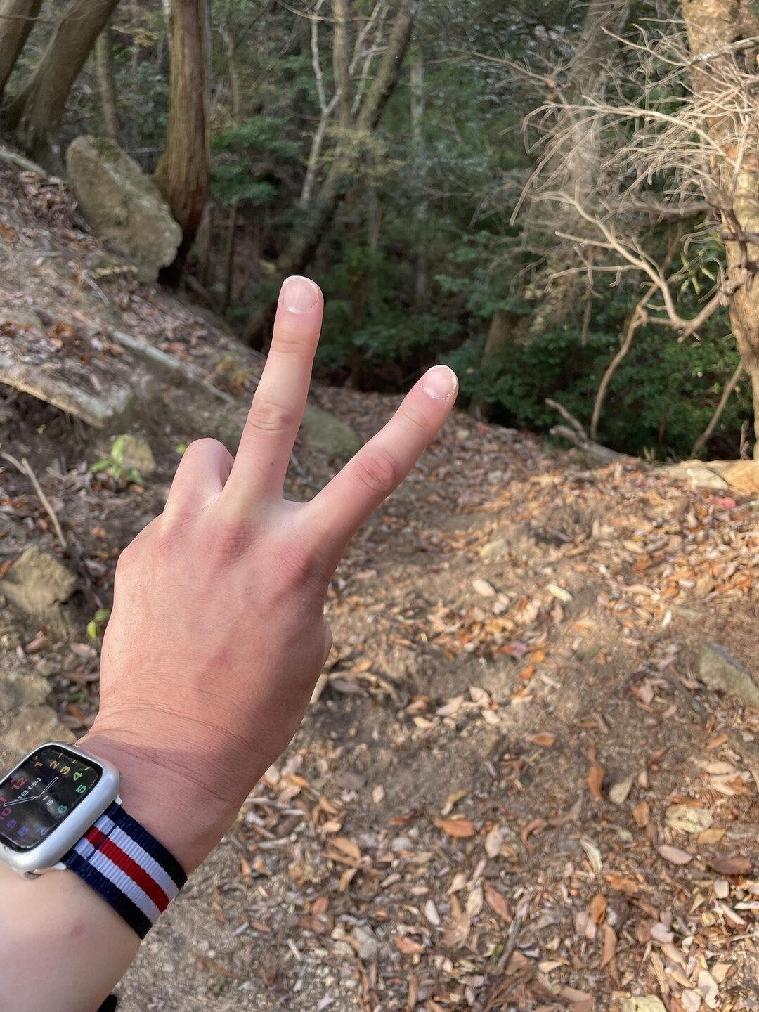 Solaさんの投稿したフィールドメモ | YAMAP / ヤマップ