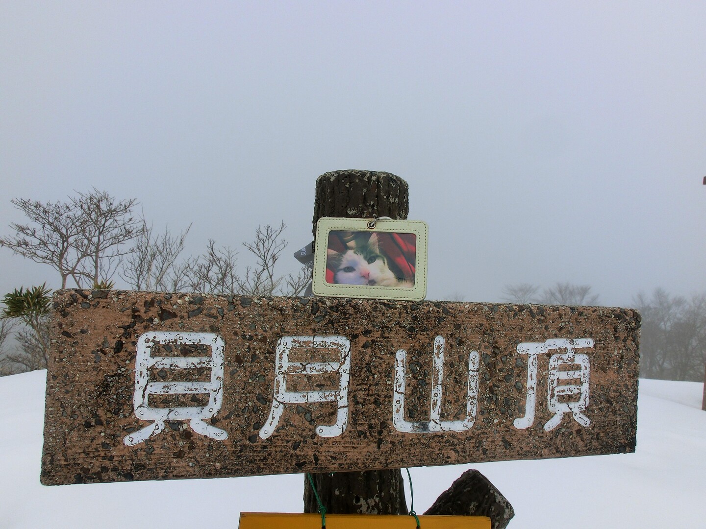 小貝月山・貝月山・なっくんと共にR6-11(通算210) / なっくんさんの貝月山の活動データ | YAMAP / ヤマップ