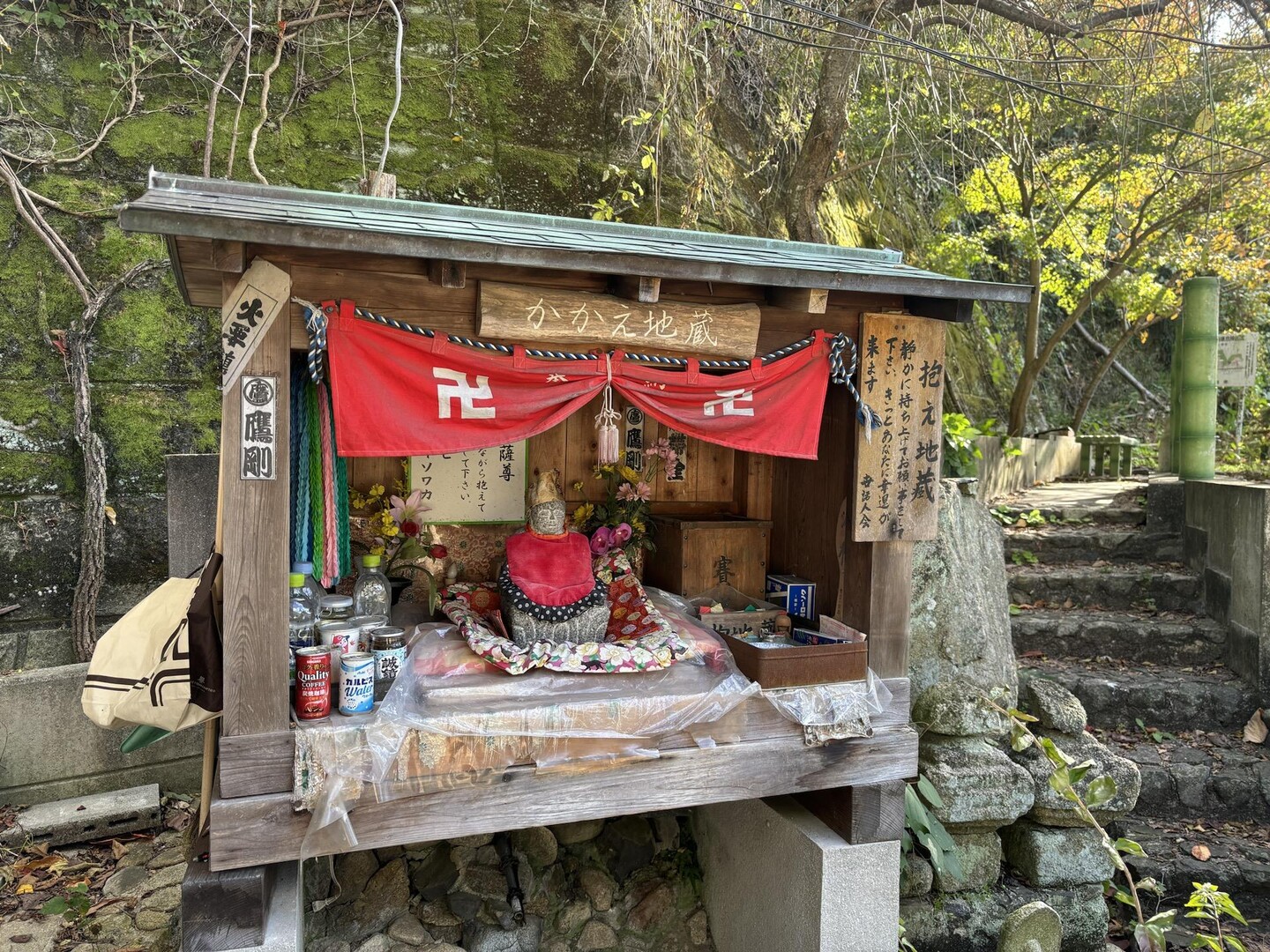 NIPPONIAランチ🍽️きのえ温泉♨️ 115の島々が展望できる神峰山⛰️ / ふみさんの神峰山の活動データ | YAMAP / ヤマップ