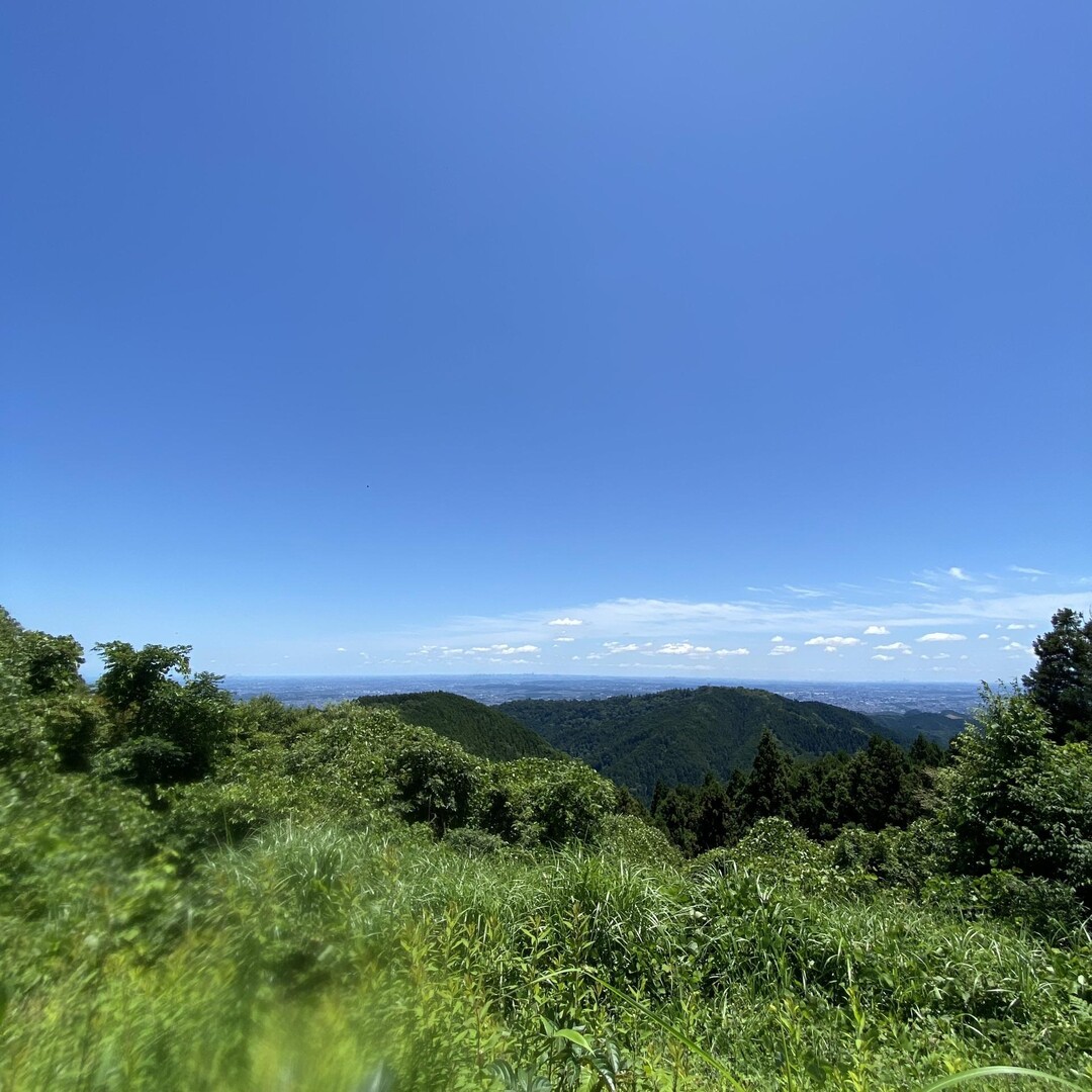 南高尾セブンサミッツ＋小仏城山 / TYさんの高尾山・陣馬山・景信山の活動データ | YAMAP / ヤマップ