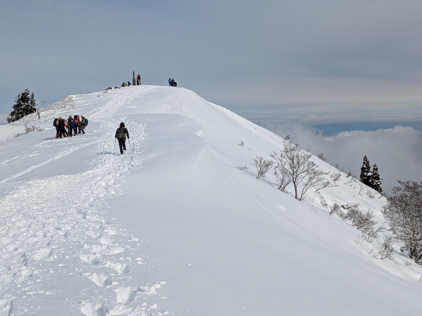 御殿山・武奈ヶ岳 / Tetsuさんの比良山地・武奈ヶ岳・釈迦岳の活動日記 | YAMAP / ヤマップ