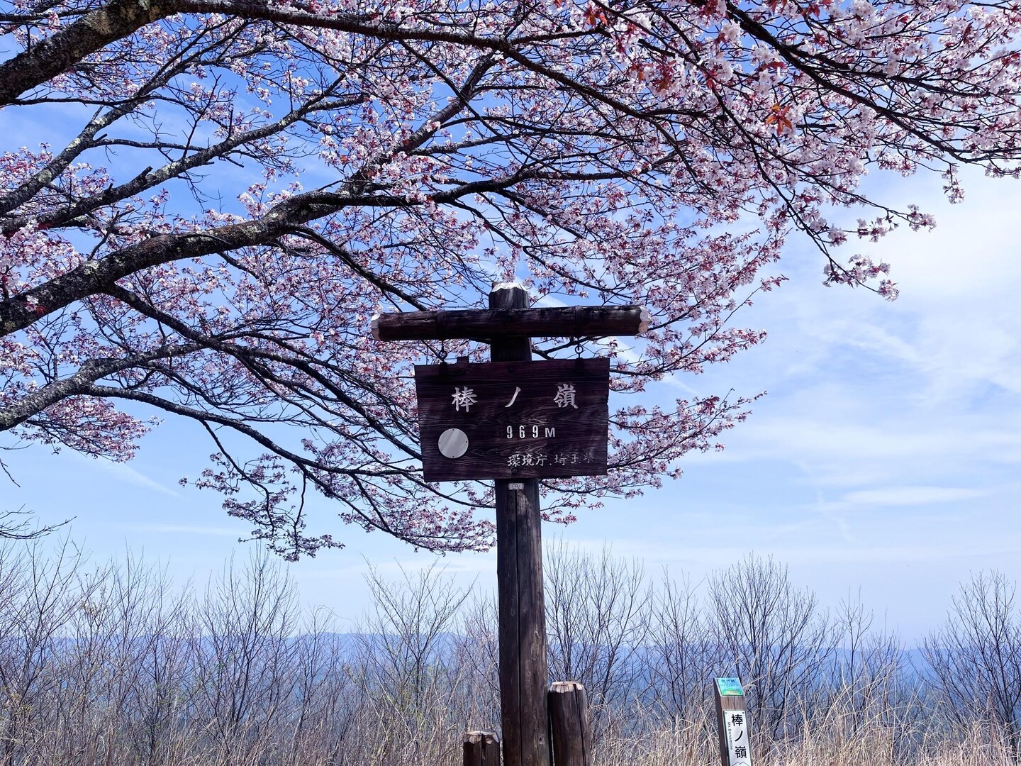 秒速5cm 川苔山〜棒ノ嶺縦走 / michitakaさんの川苔山（川乗山）の活動データ | YAMAP / ヤマップ