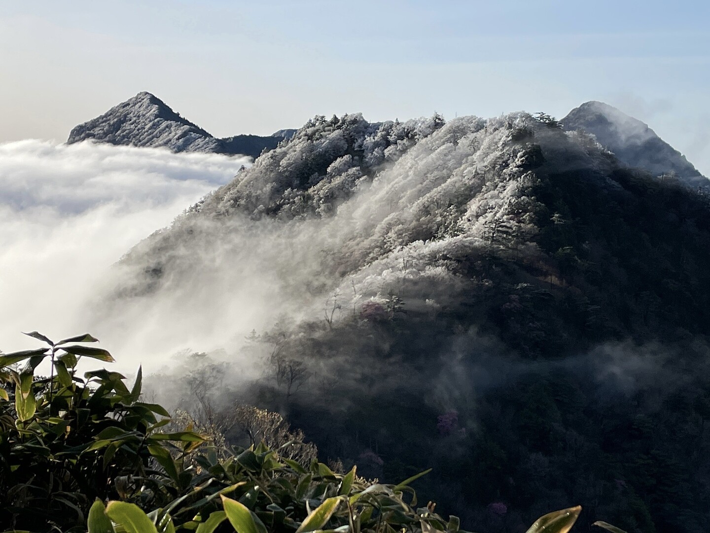 【四国遠征1座目】 石鎚山 / M K1218さんの石鎚山・堂ヶ森・二ノ森の活動データ | YAMAP / ヤマップ