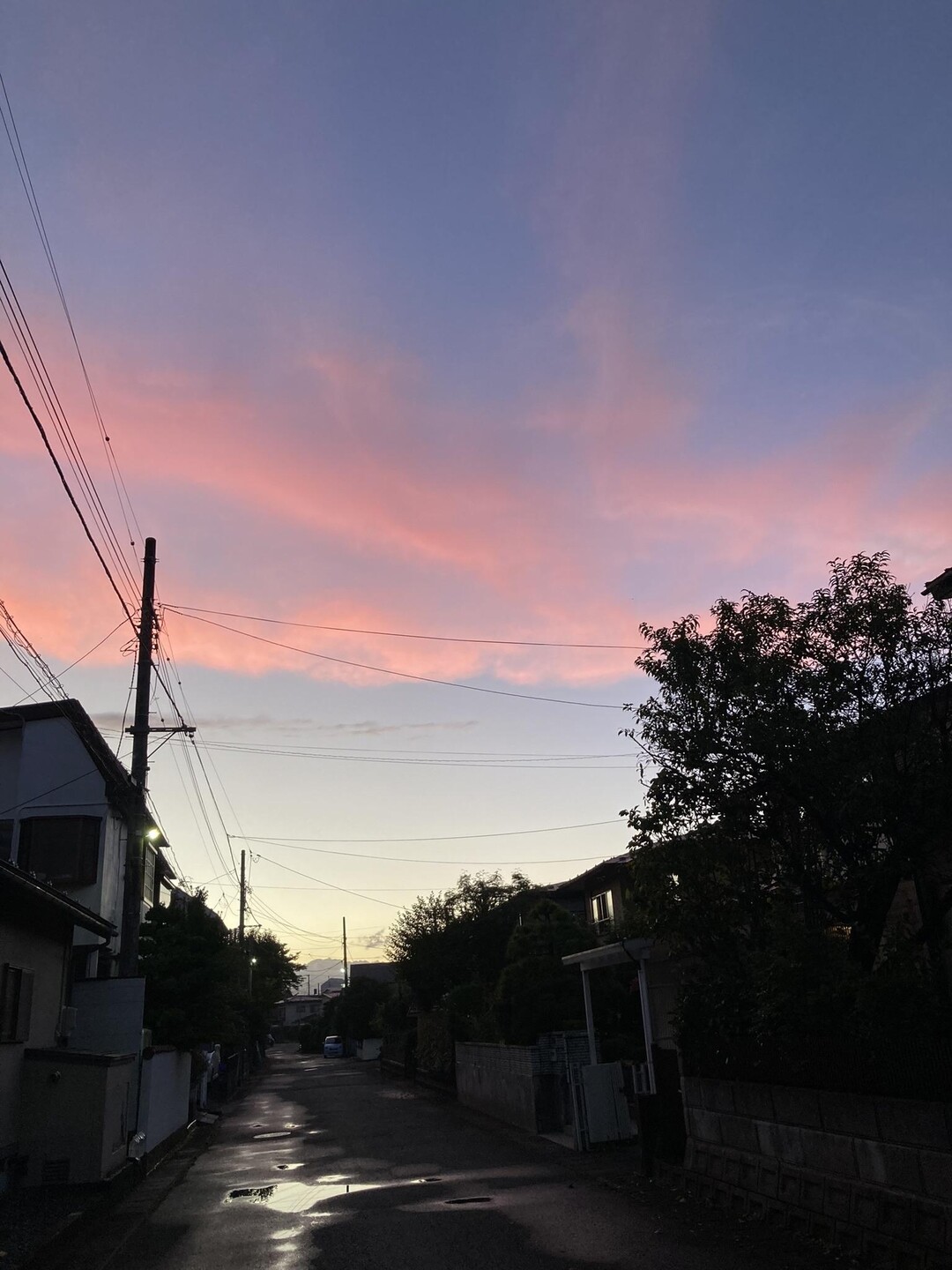 one of the 3 beautif... / yellowさんのモーメント | YAMAP / ヤマップ