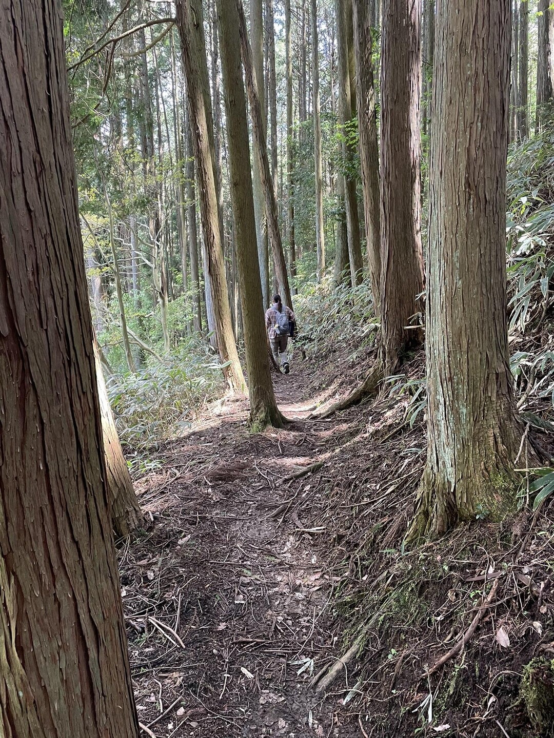 奈良県のキャンプ場 なぜかGWなのに貸し... / たくさんのモーメント | YAMAP / ヤマップ