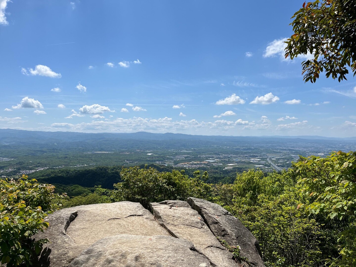 猿投山(雲興寺↔︎猿投神社) / accoさんの猿投山・物見山の活動データ | YAMAP / ヤマップ