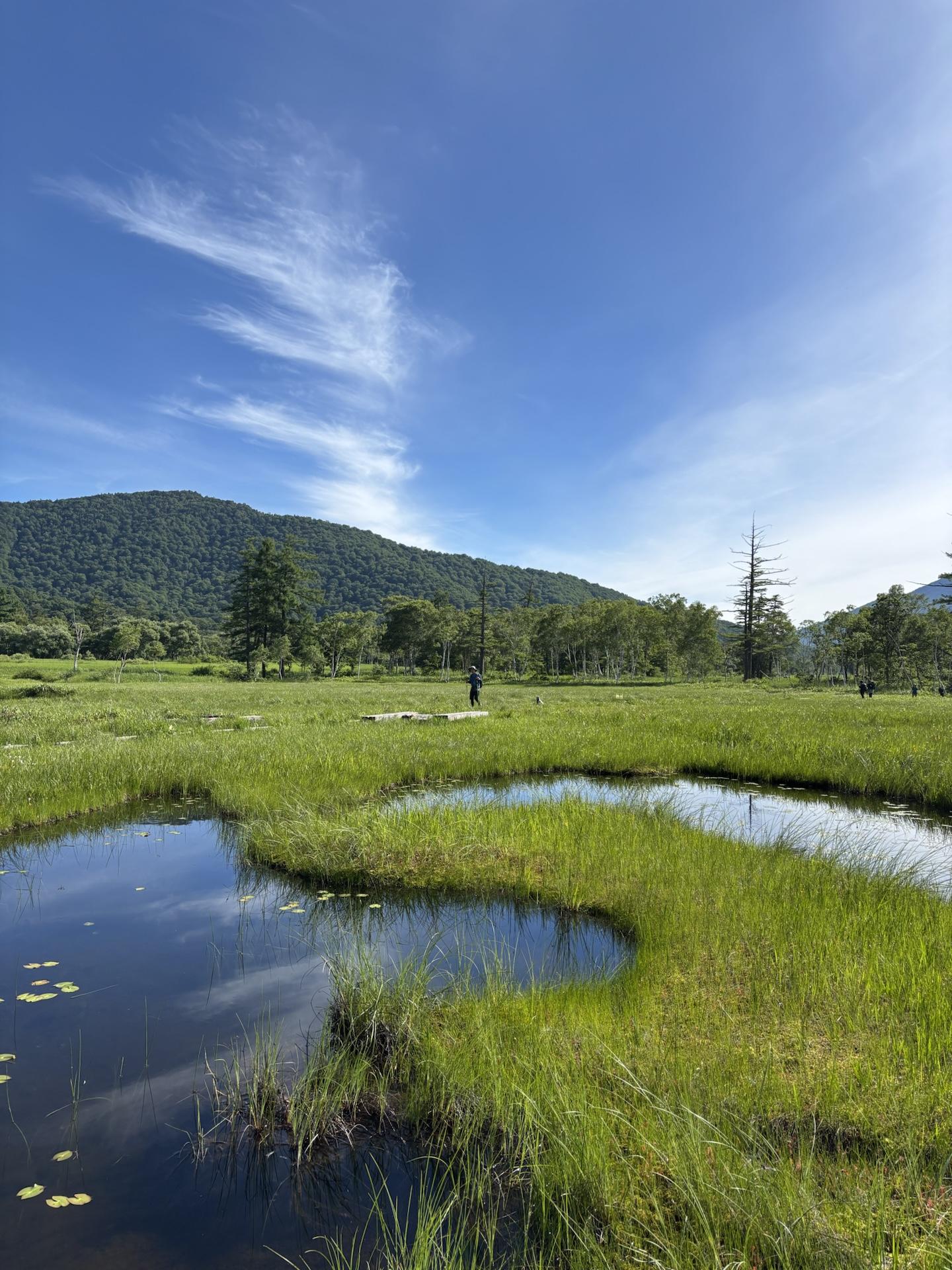 至仏山・小至仏山 / heeさんの尾瀬・至仏山・悪沢岳・笠ヶ岳の活動データ | YAMAP / ヤマップ