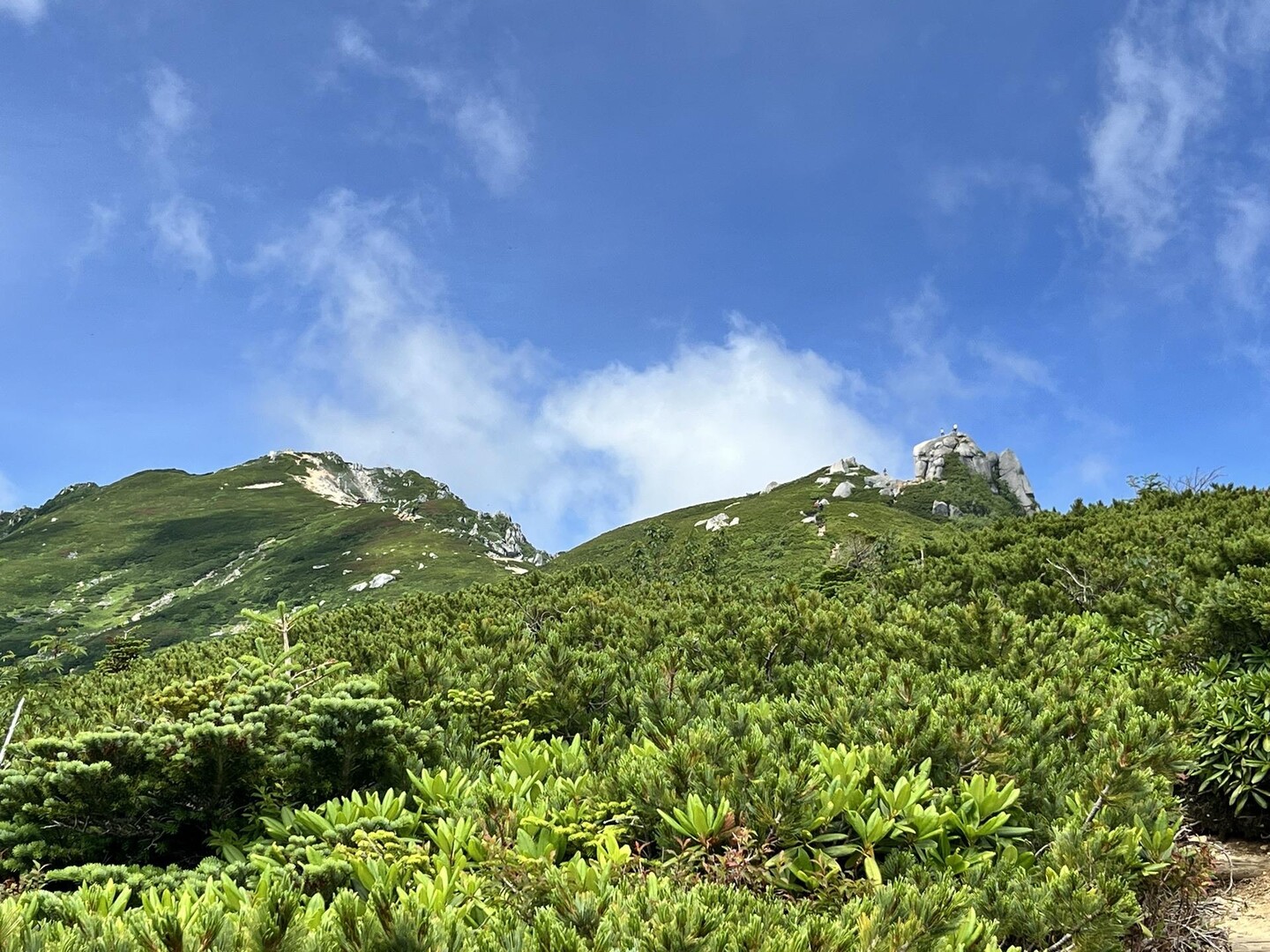 日帰り空木岳 / toruさんの木曽駒ヶ岳・空木岳・越百山の活動データ | YAMAP / ヤマップ