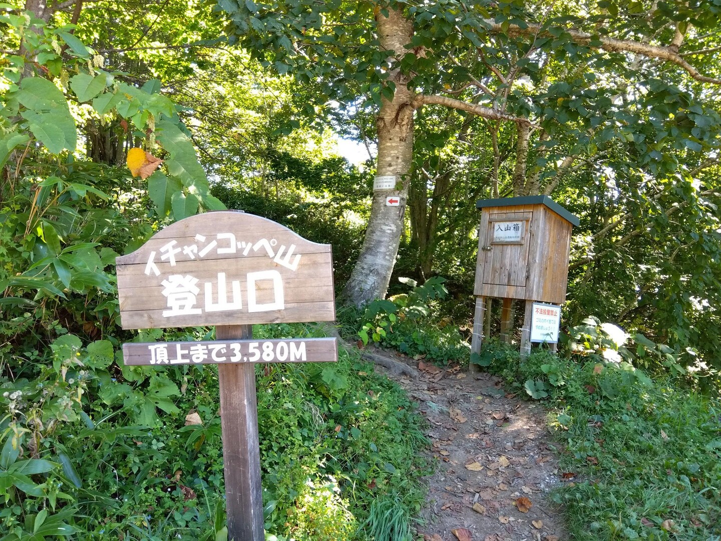 イチャンコッペ山2024 / K-ta.wさんのイチャンコッペ山の活動データ | YAMAP / ヤマップ