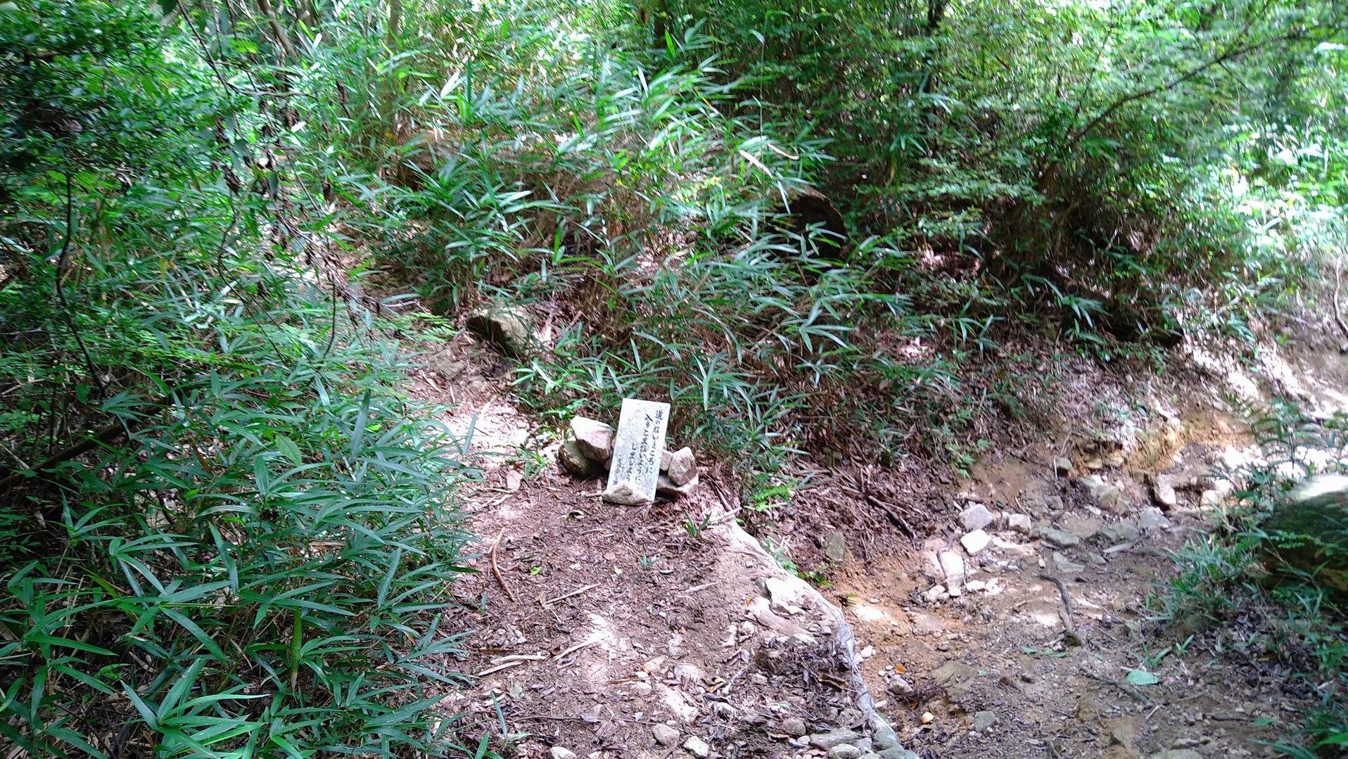 kame11さんの投稿したフィールドメモ | YAMAP / ヤマップ