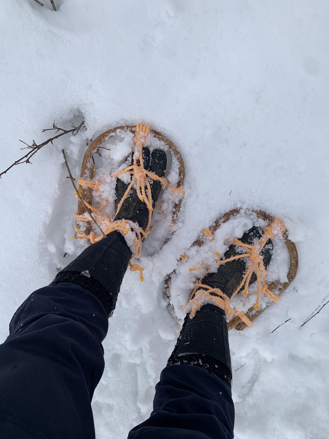 地下足袋輪かんじき ️守屋山deお試しハイク / jucca🍎さんの守屋山の活動データ | YAMAP / ヤマップ