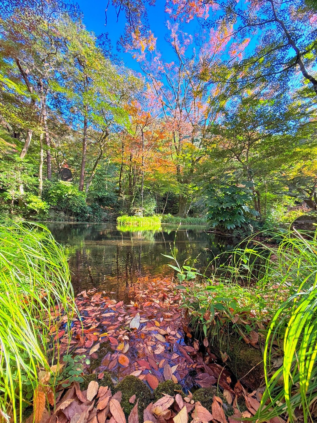 金華山 / Naka🎣さんの金華山・洞山・舟伏山の活動データ | YAMAP / ヤマップ