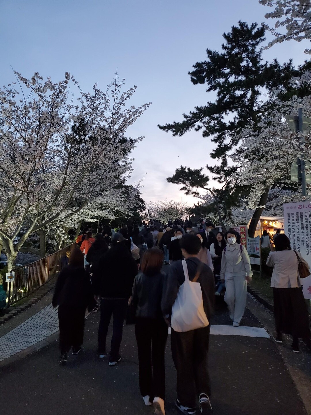 ウォーキング-2023-04-01 / zkさんのウォーキングの活動データ | YAMAP / ヤマップ