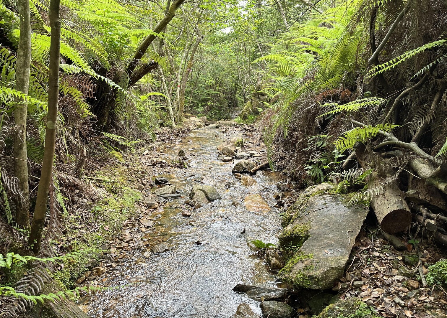 wtaxus わたくさすさんの投稿したフィールドメモ | YAMAP / ヤマップ