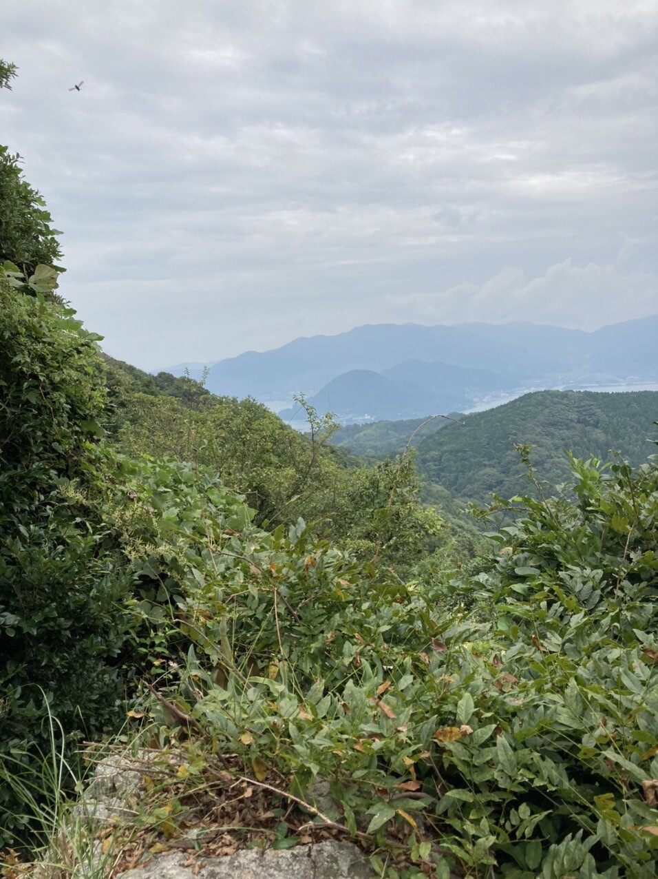 skyloveさんの投稿したフィールドメモ | YAMAP / ヤマップ