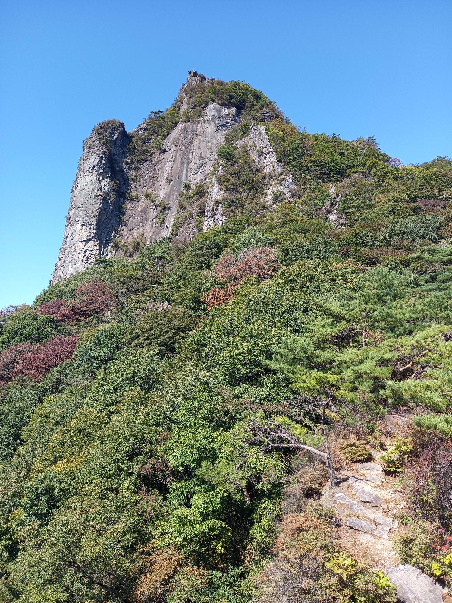柳木ヶ峰・子持山・浅間山 / Seigoさんの子持山の活動データ | YAMAP / ヤマップ