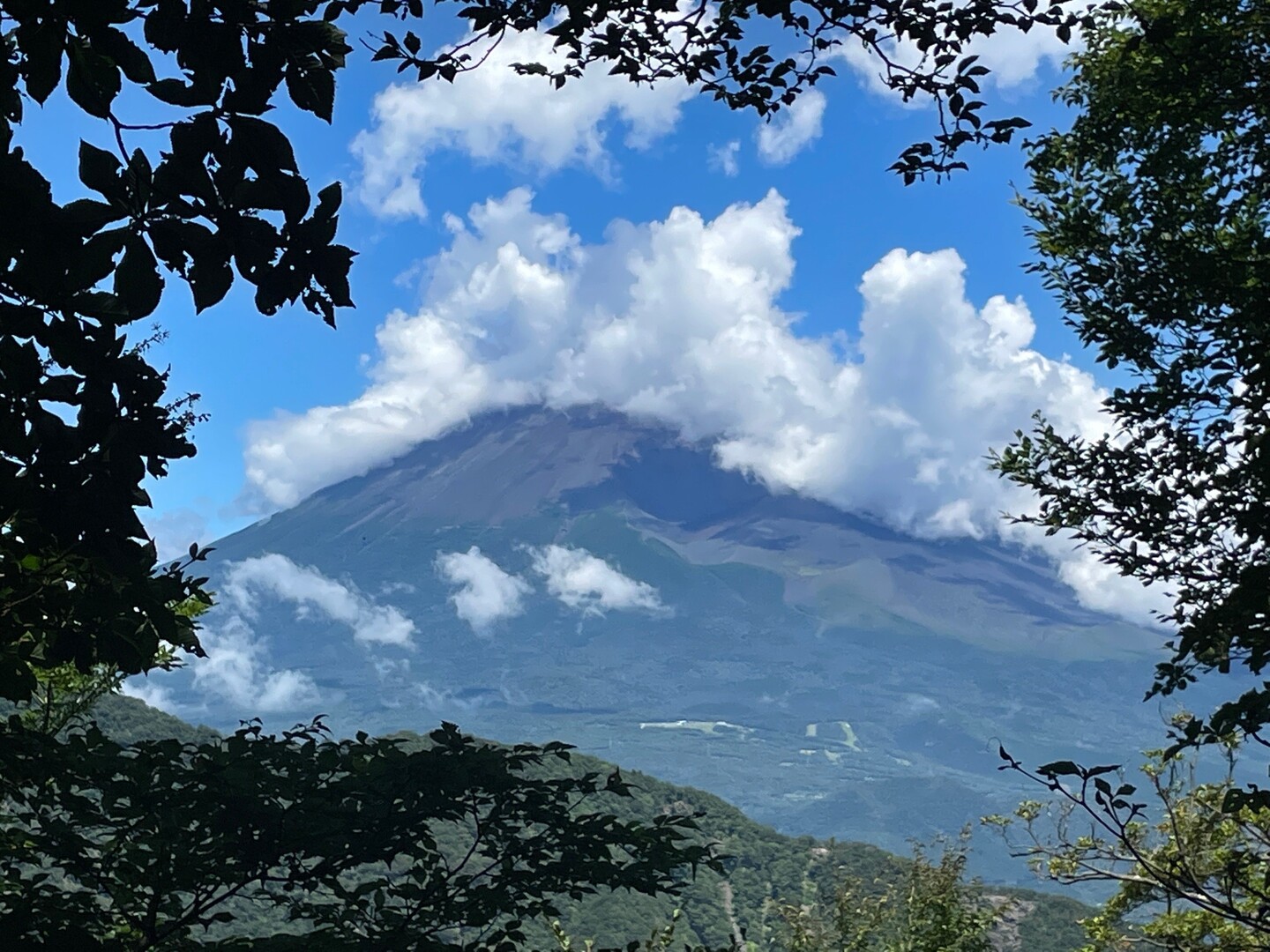 450座 愛鷹山・袴腰岳・位牌岳・池の平 / Harukiさんの愛鷹山・大岳・黒岳の活動データ | YAMAP / ヤマップ