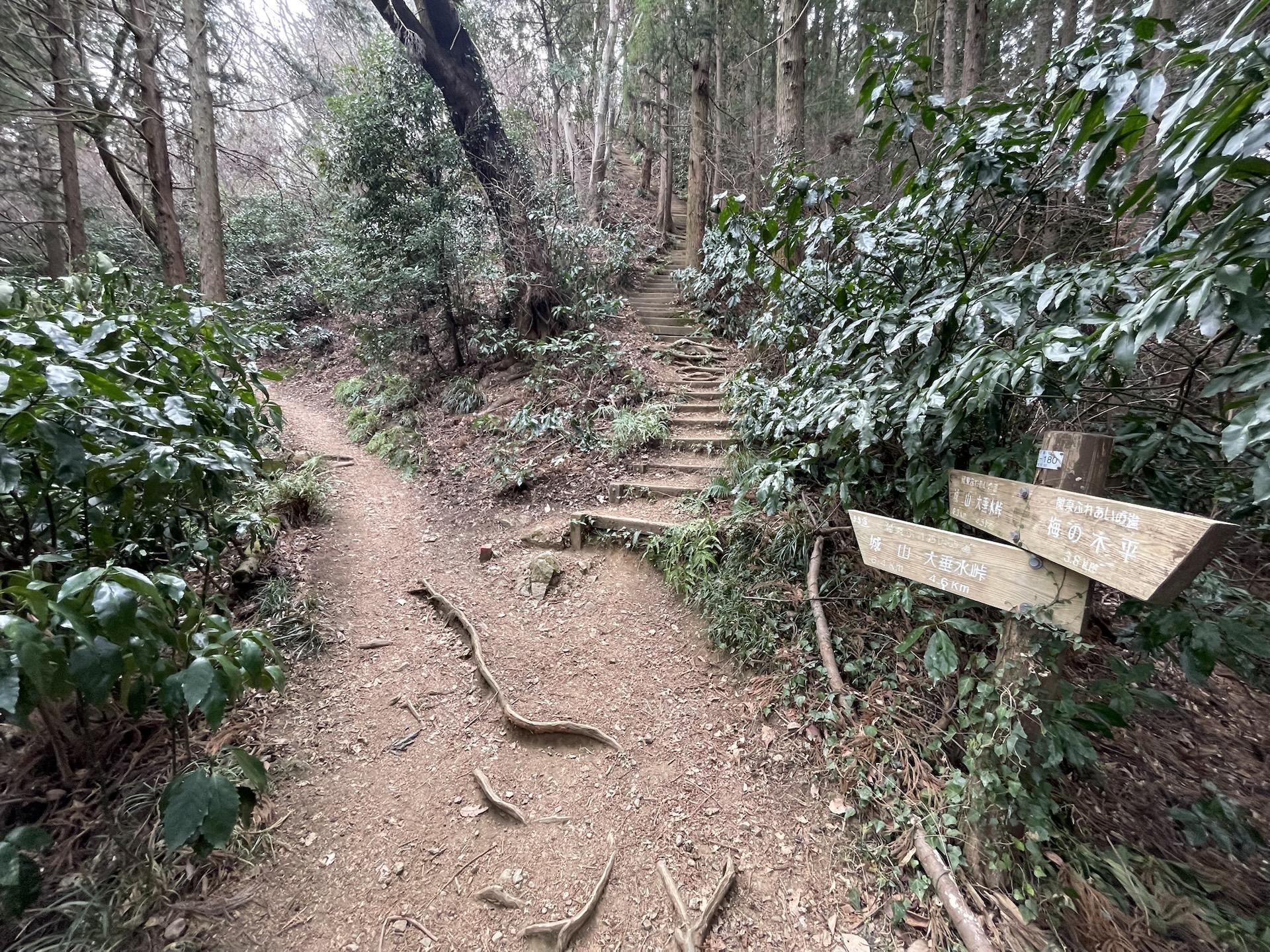 tsk-chaponさんの投稿したフィールドメモ | YAMAP / ヤマップ