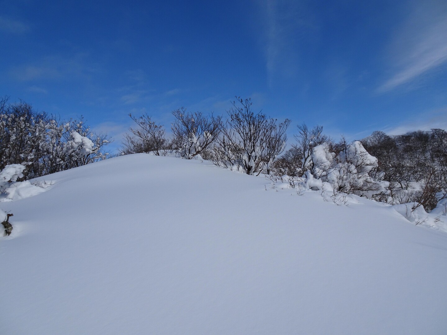 貝月山 周回 / mooかめさんの貝月山の活動データ | YAMAP / ヤマップ